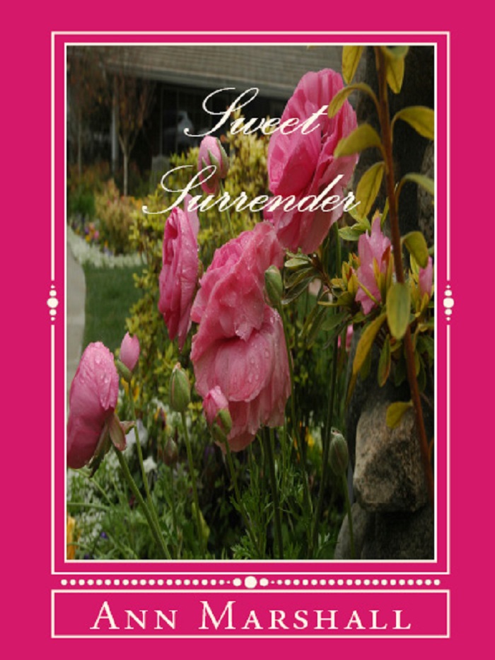 Sweet Surrender (Book 1 of The Surrendered Life Series ...